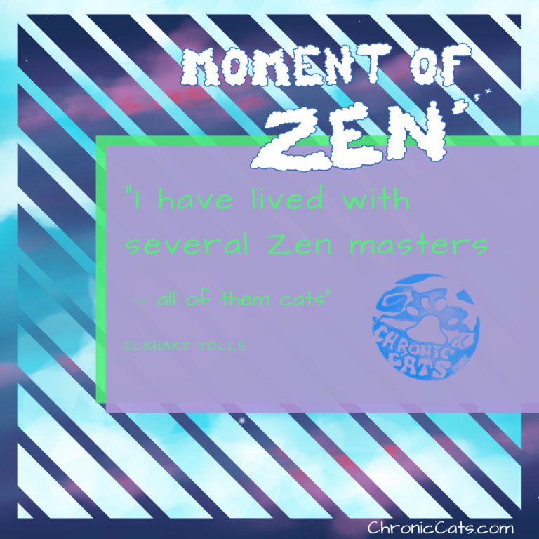 I have lived with several Zen masters - all of them cats. - Chronic Cats